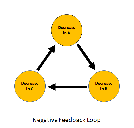 Feedback Loops and Emergent Properties – Rational-Understanding.com